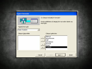 Formulare+access[1] | PPT