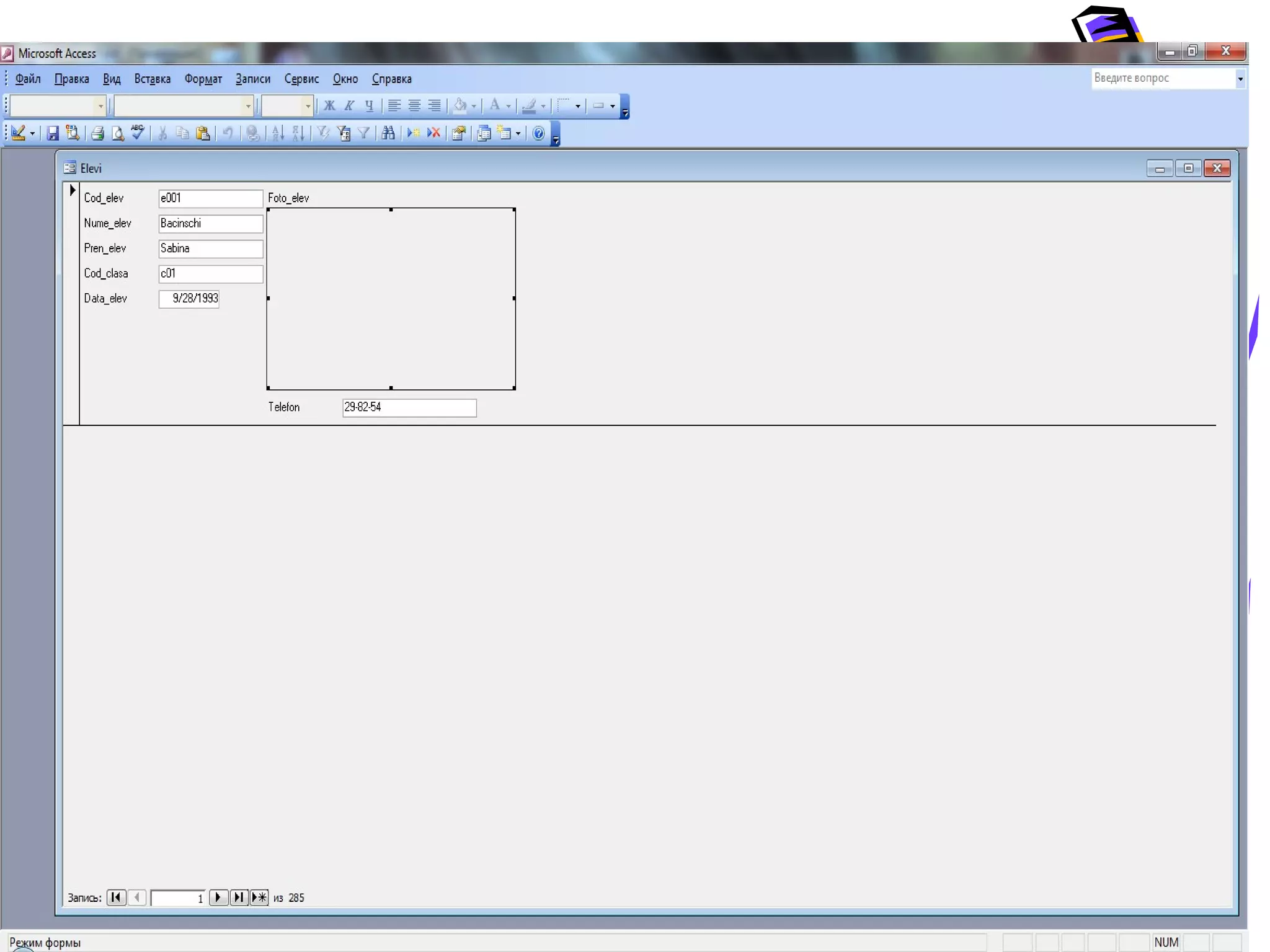Formulare+si+rapoarte | PPT