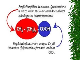Formulas bioquimica | PPS