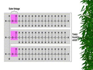 Formulas bioquimica | PPS
