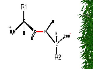 Formulas bioquimica | PPS
