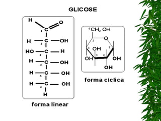 Formulas bioquimica | PPS