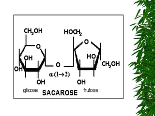 Formulas bioquimica | PPS