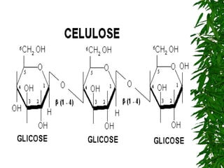 Formulas bioquimica | PPS