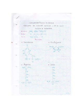 Formulas de bioquimica | DOCX