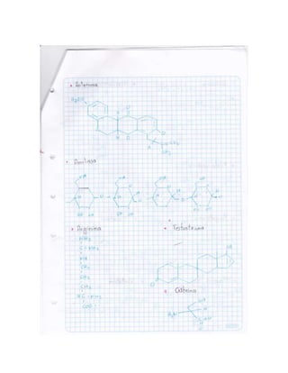 Formulas de bioquimica | DOCX