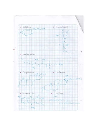 Formulas de bioquimica | DOCX