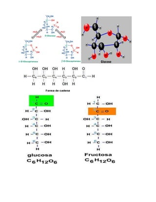 Formulas de bioquimica | DOCX
