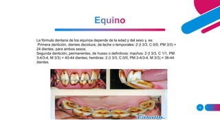 Formulas dentales de los animales domésticos.pptx