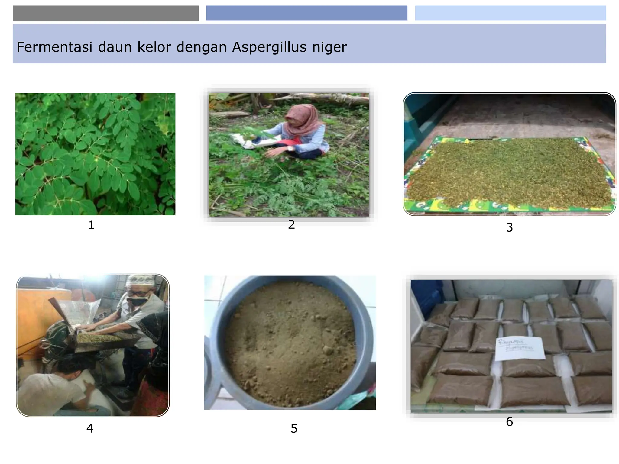 Formulasi dan pembuatan pakan ikan.pptx