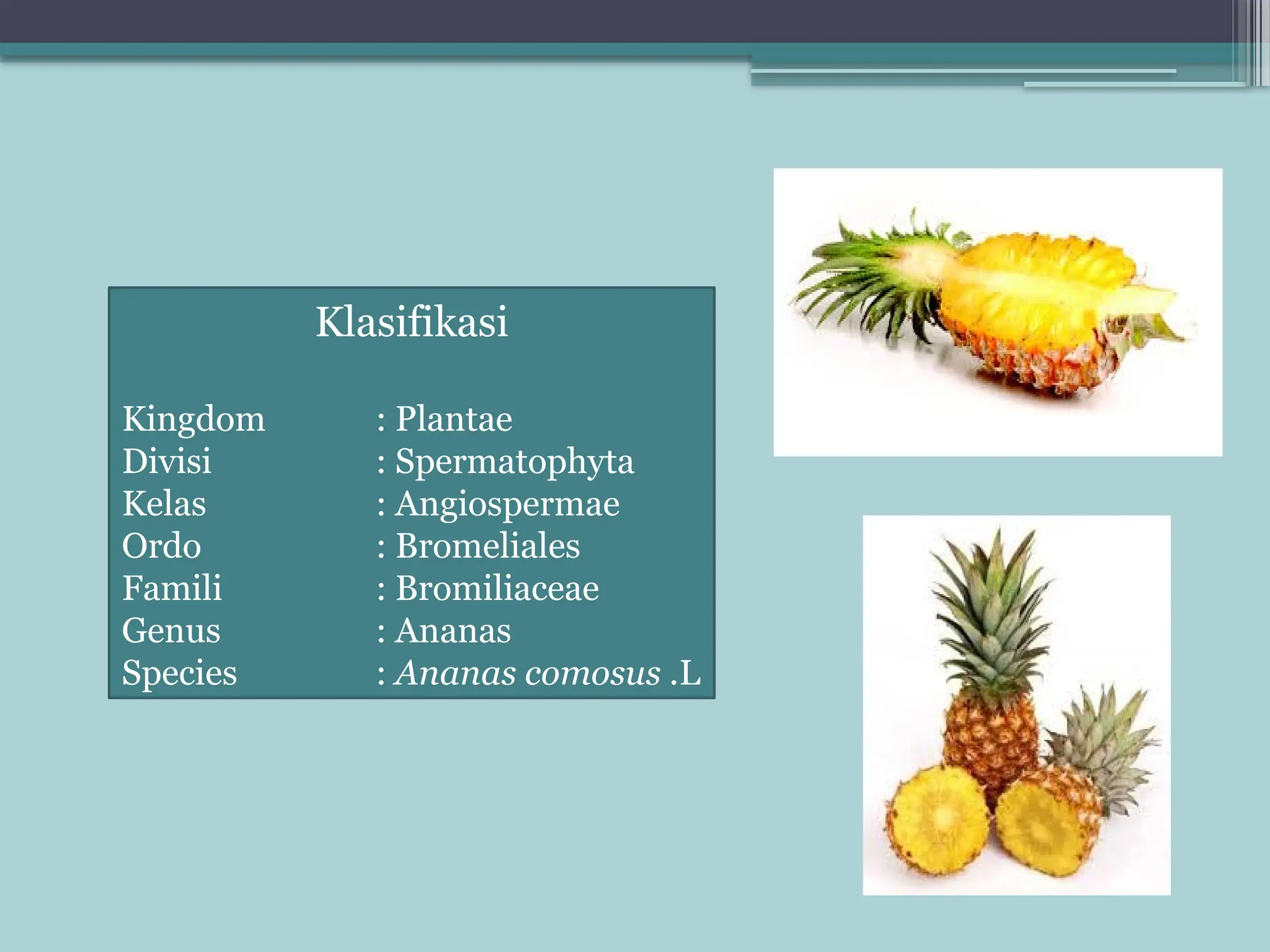 FORMULASI SABUN CAIR DARI EKSTRAK BATANG NANAS (.pptx