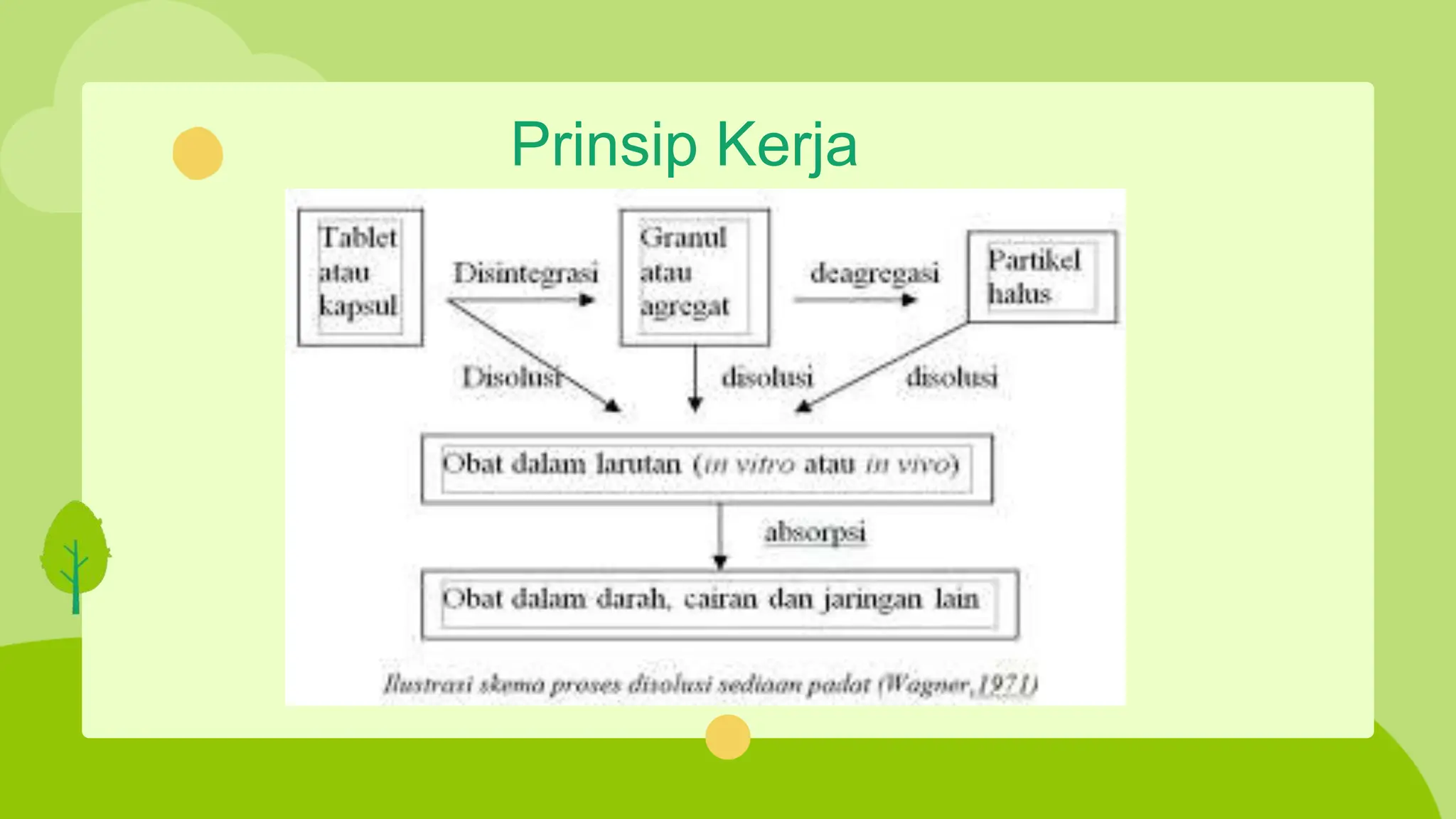 FORMULASI SEDIAAN PADAT DAN BAHAN ALAM.pptx