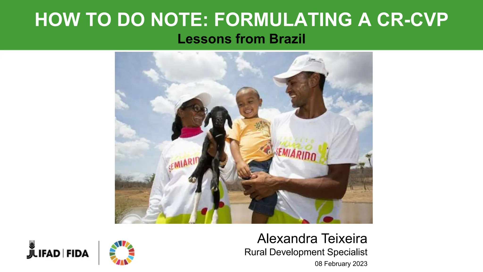 How to do note: Formulating a CR-CVP - Lessons from Brazil | PPT