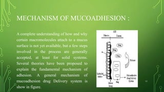 Formulation and invitro evaluation of microspheres | PPTX