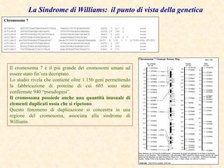 Formulazione di un modello teorico s.williams | PDF
