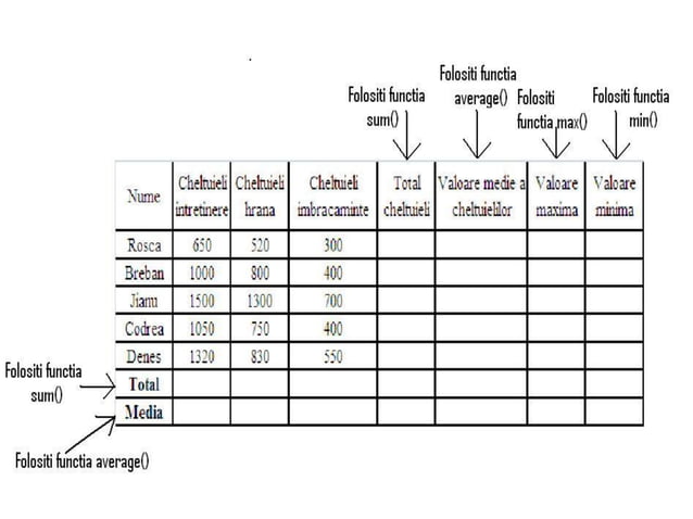 Formule si functii_excel | PDF