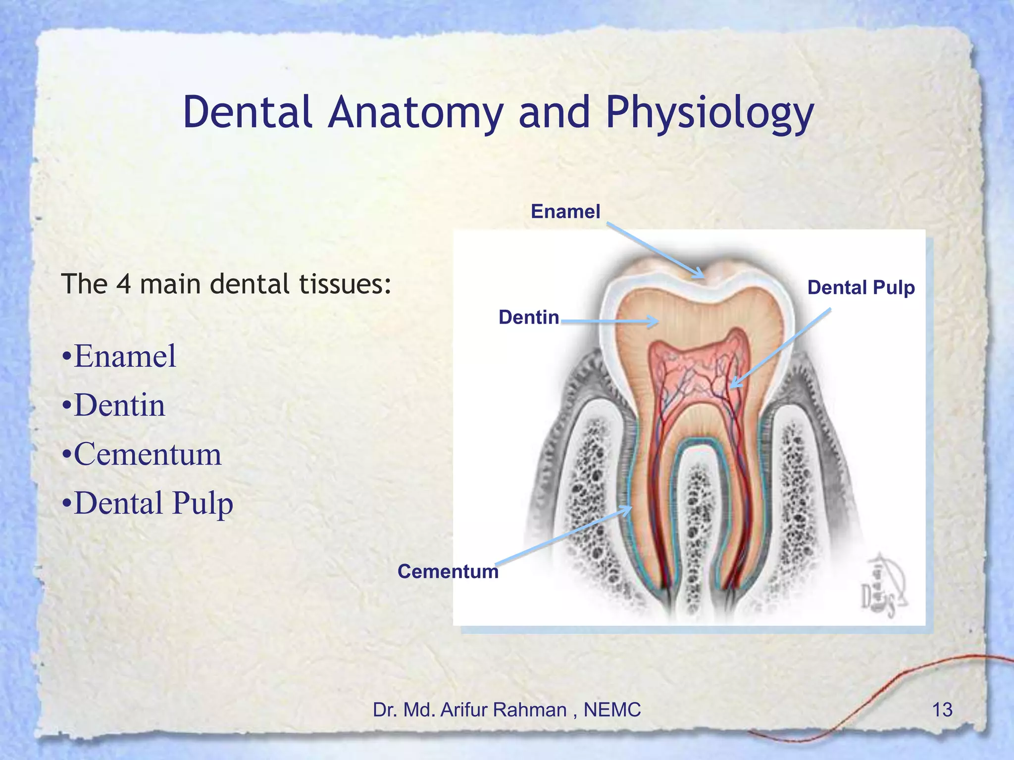 Basics of Dentistry | PPSX