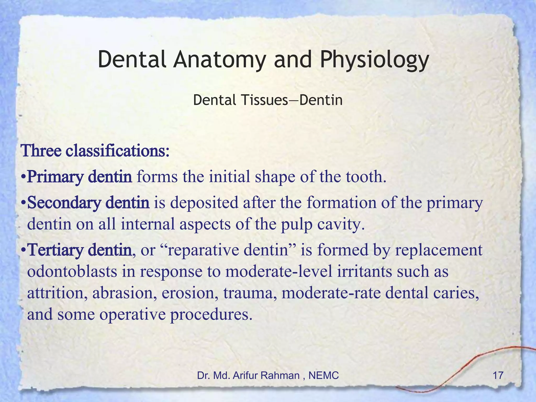 Basics of Dentistry | PPSX