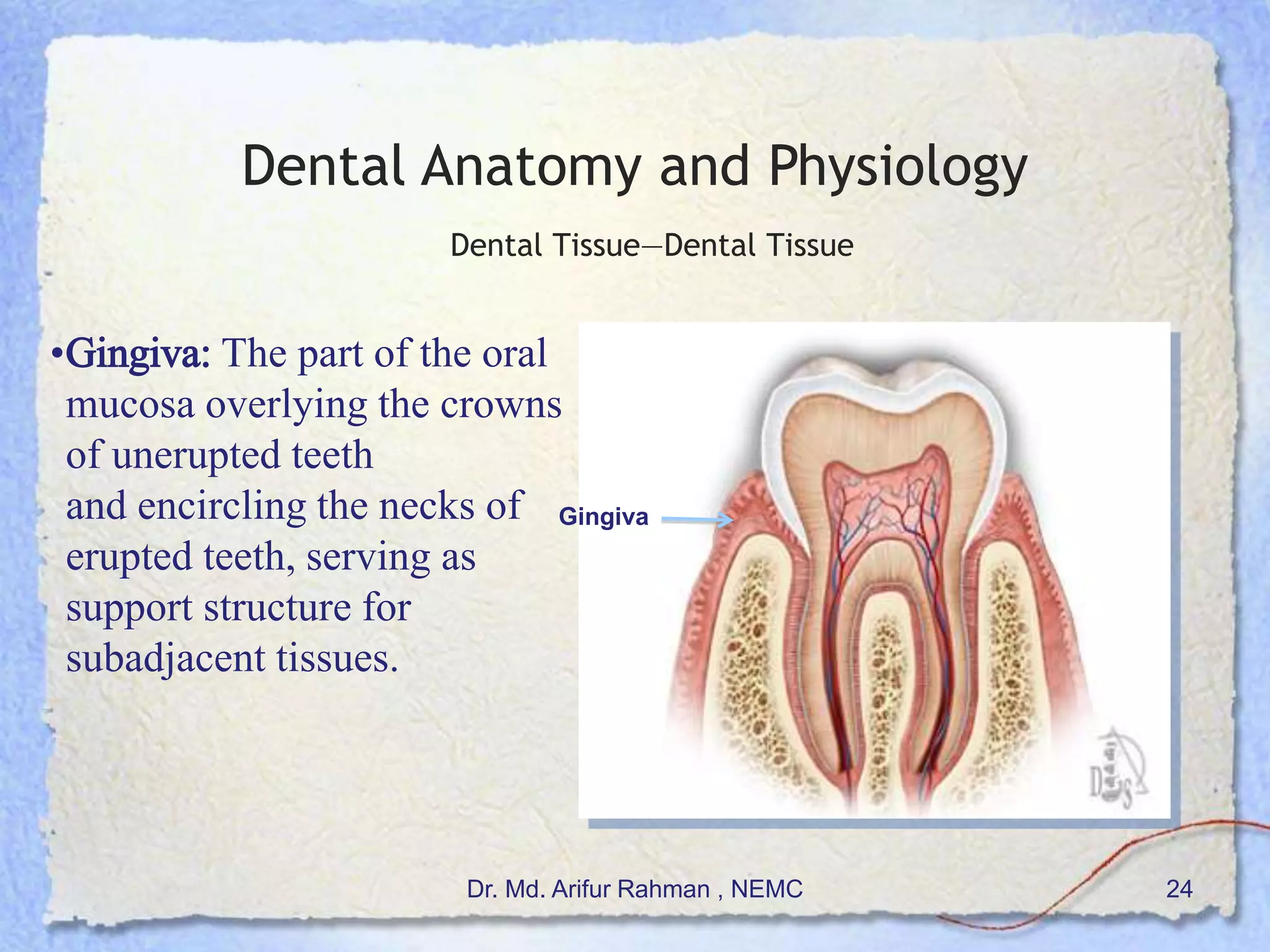 Basics of Dentistry | PPSX | Dental Health | Diseases and Conditions