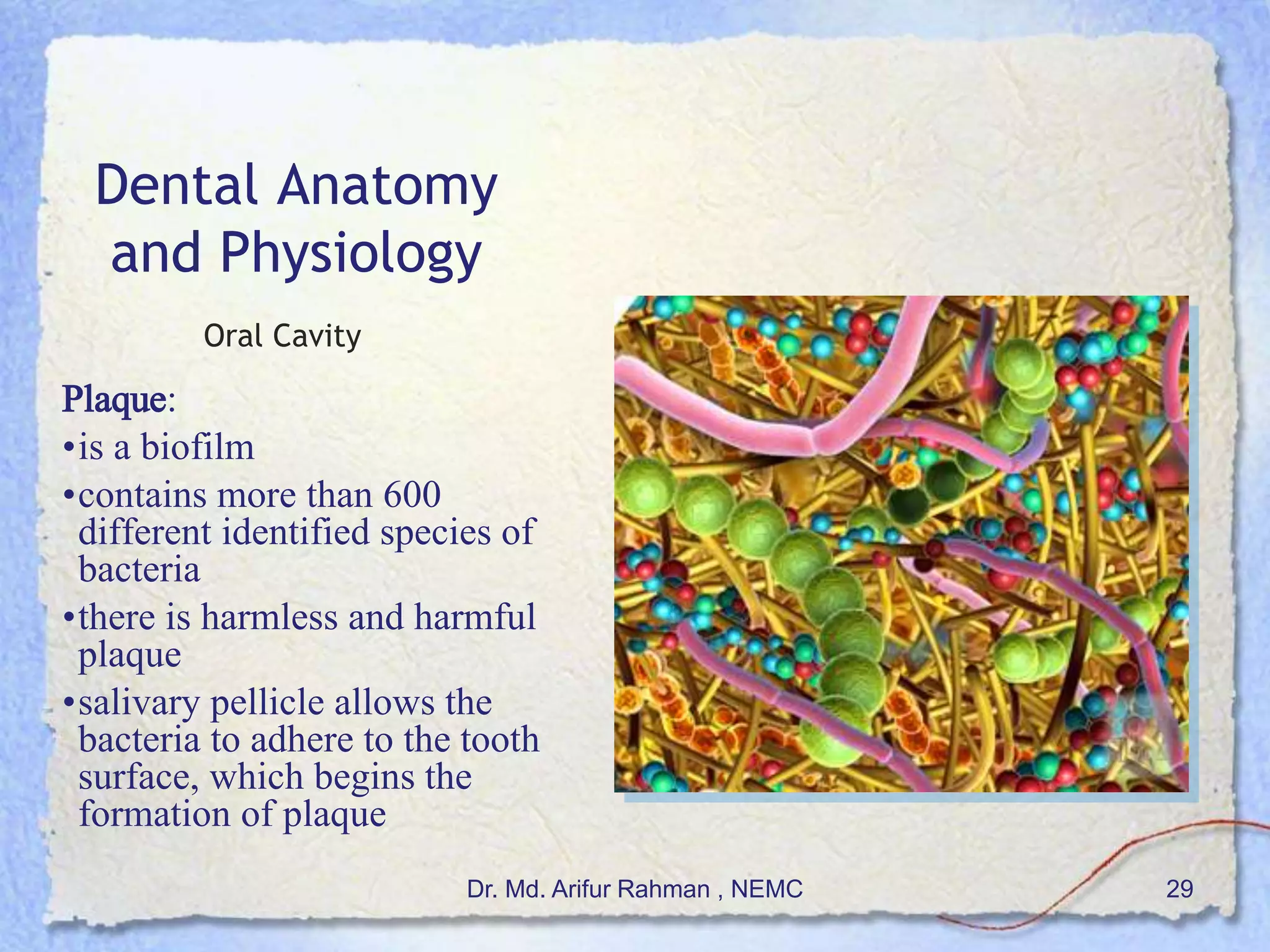 Basics of Dentistry | PPSX