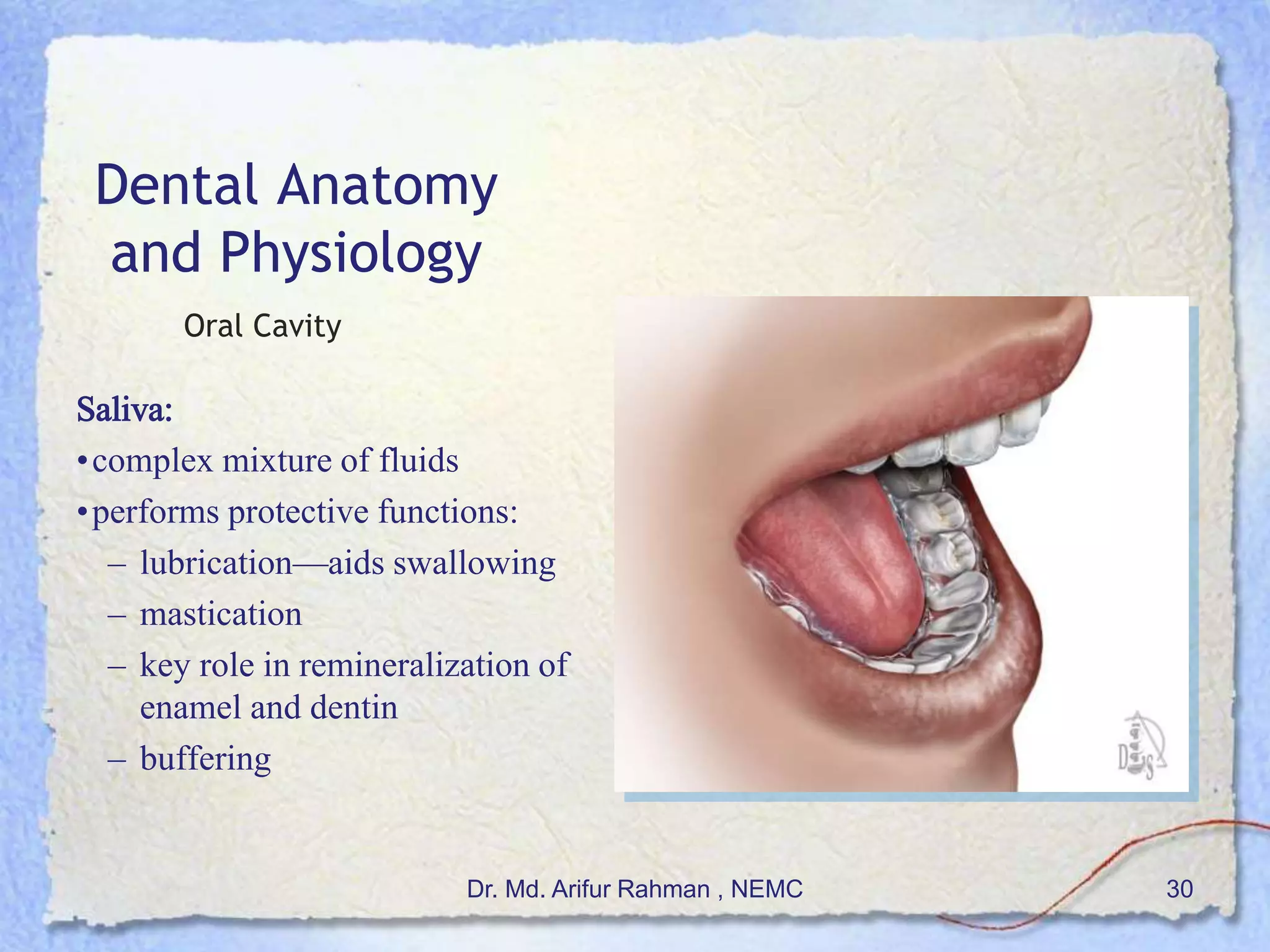 Basics of Dentistry | PPSX
