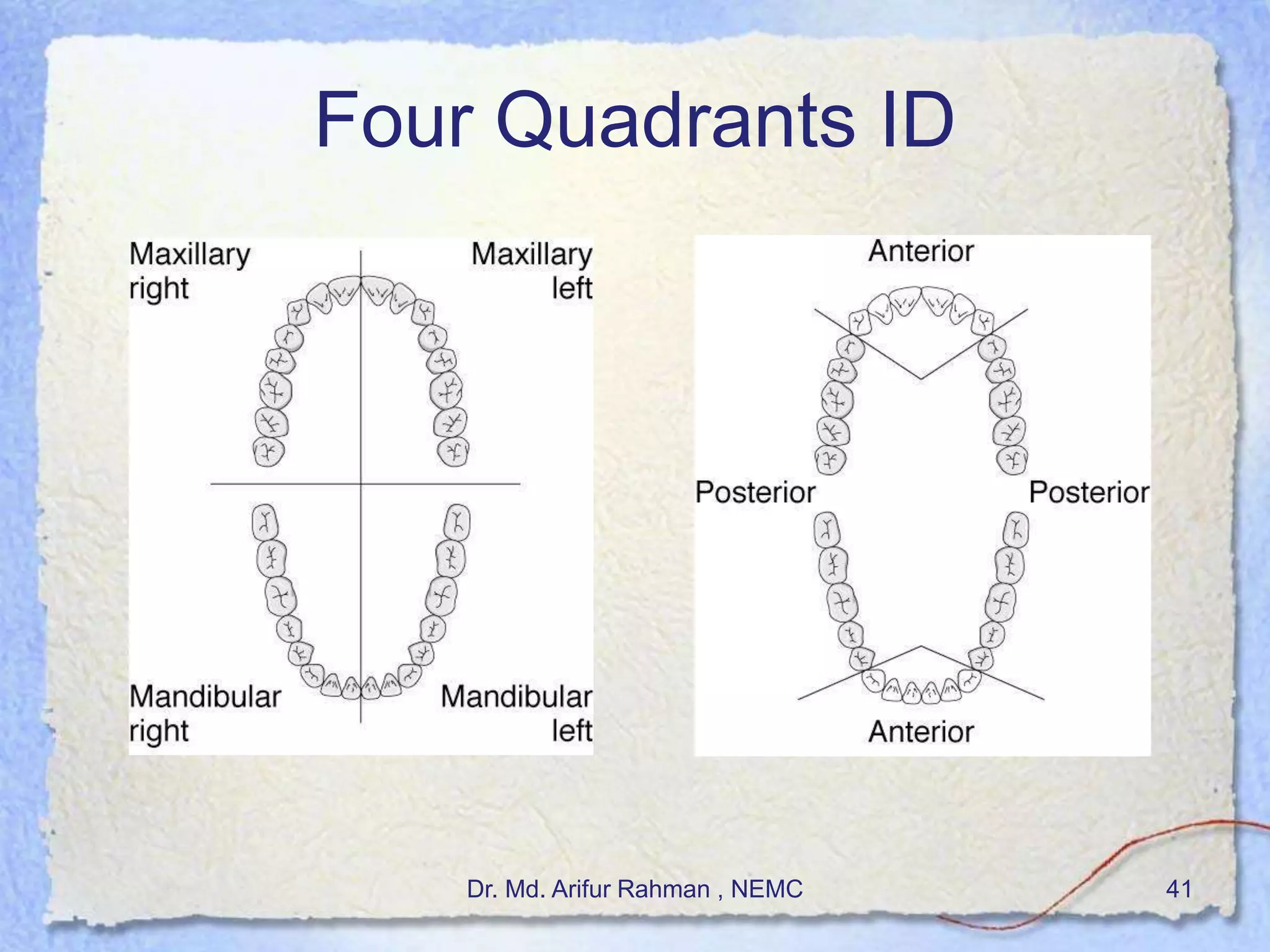 Basics of Dentistry | PPSX