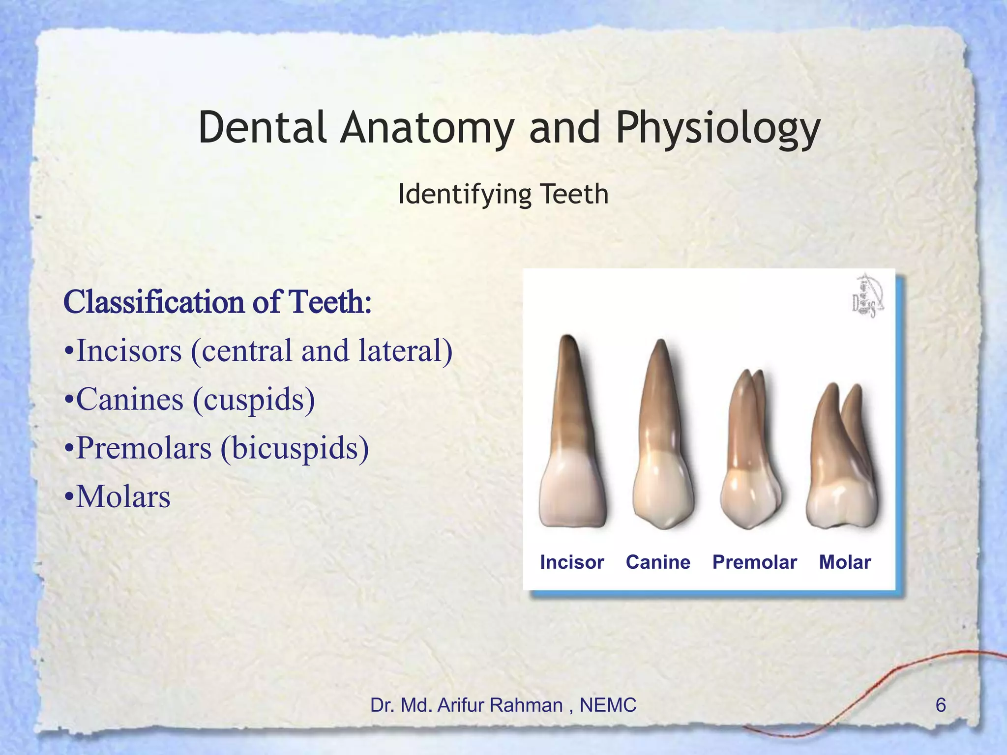 Basics of Dentistry | PPSX