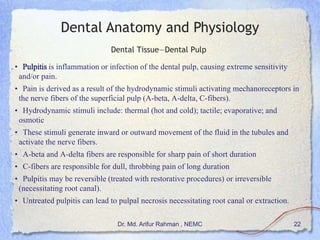 Basics of Dentistry | PPSX