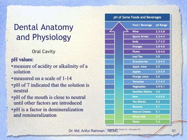 Basics of Dentistry | PPSX | Dental Health | Diseases and Conditions