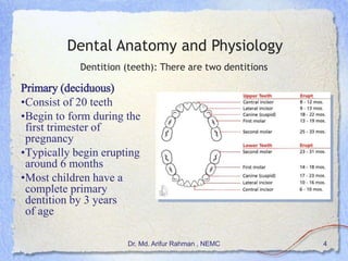 Basics of Dentistry | PPSX