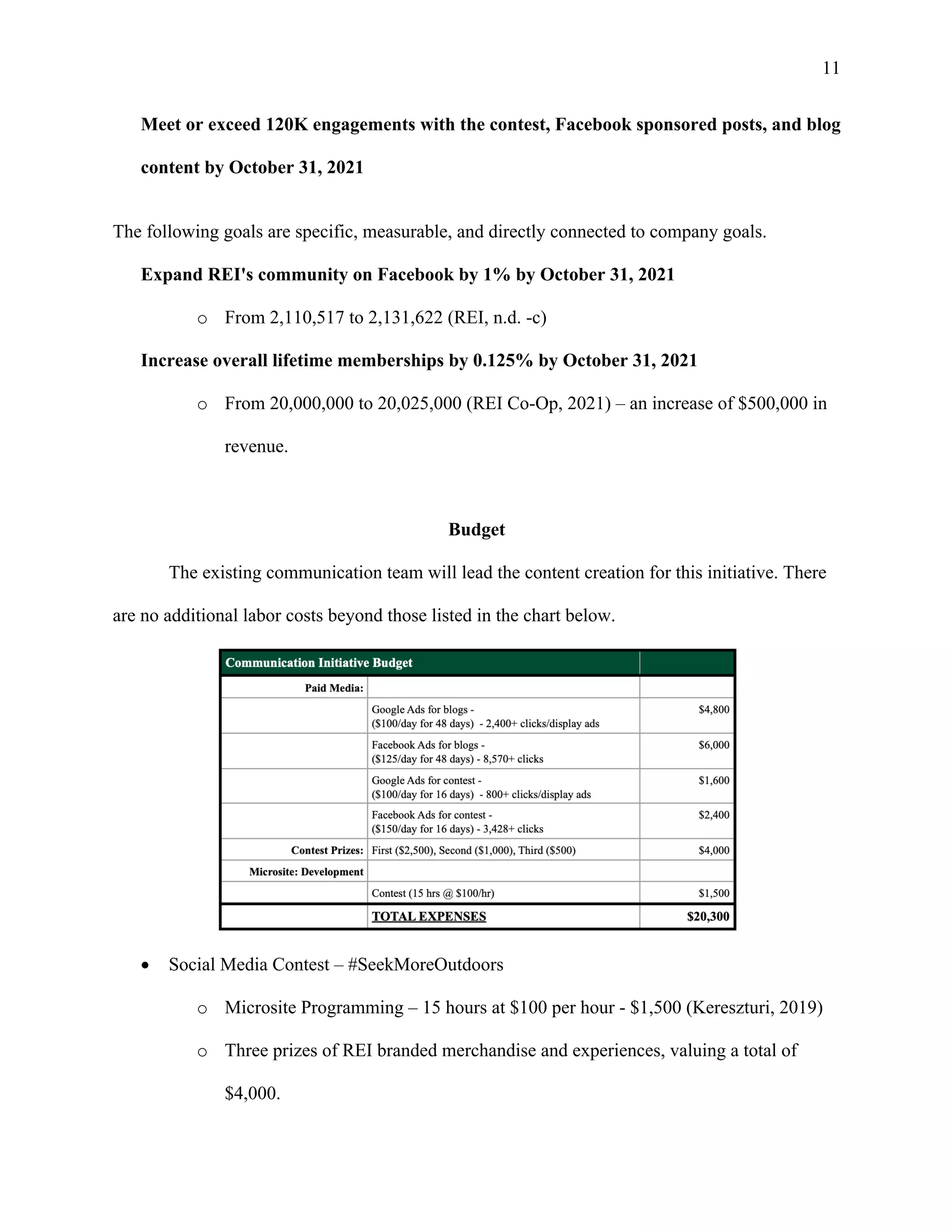 Strategic Writing Final Project - REI Communication Plan | PDF