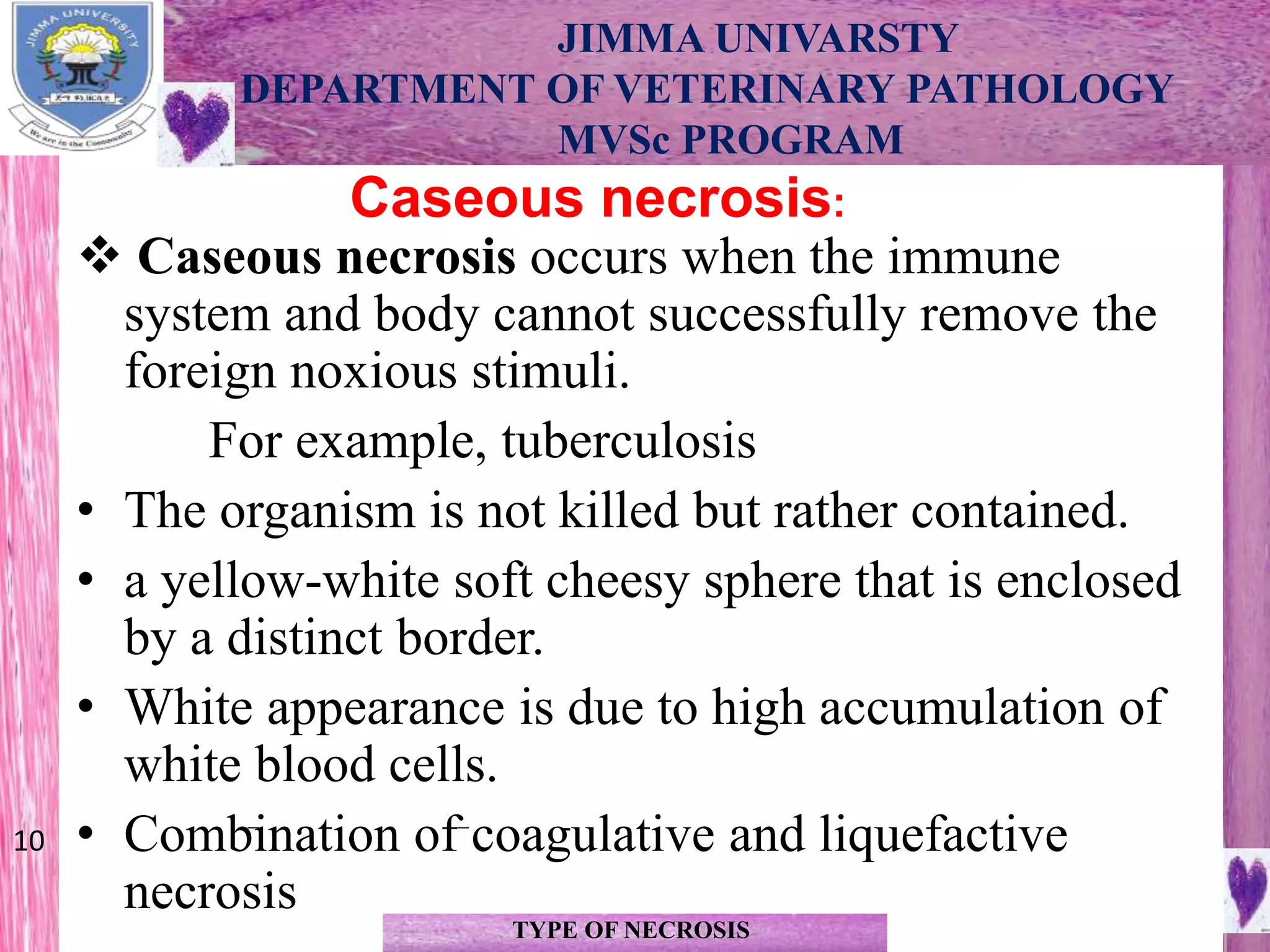 TYPE OF NECROSIS.pptx