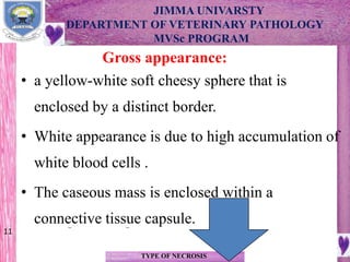 TYPE OF NECROSIS.pptx