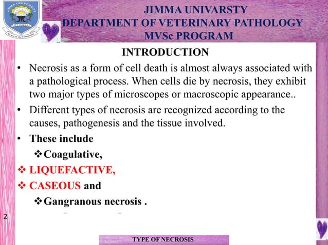 TYPE OF NECROSIS.pptx