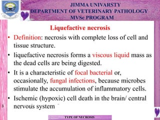 TYPE OF NECROSIS.pptx