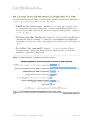 Customer Experience Innovation | PDF