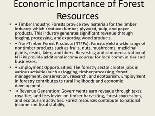Forrest resources ppt in 12 slides on engineering | PPT