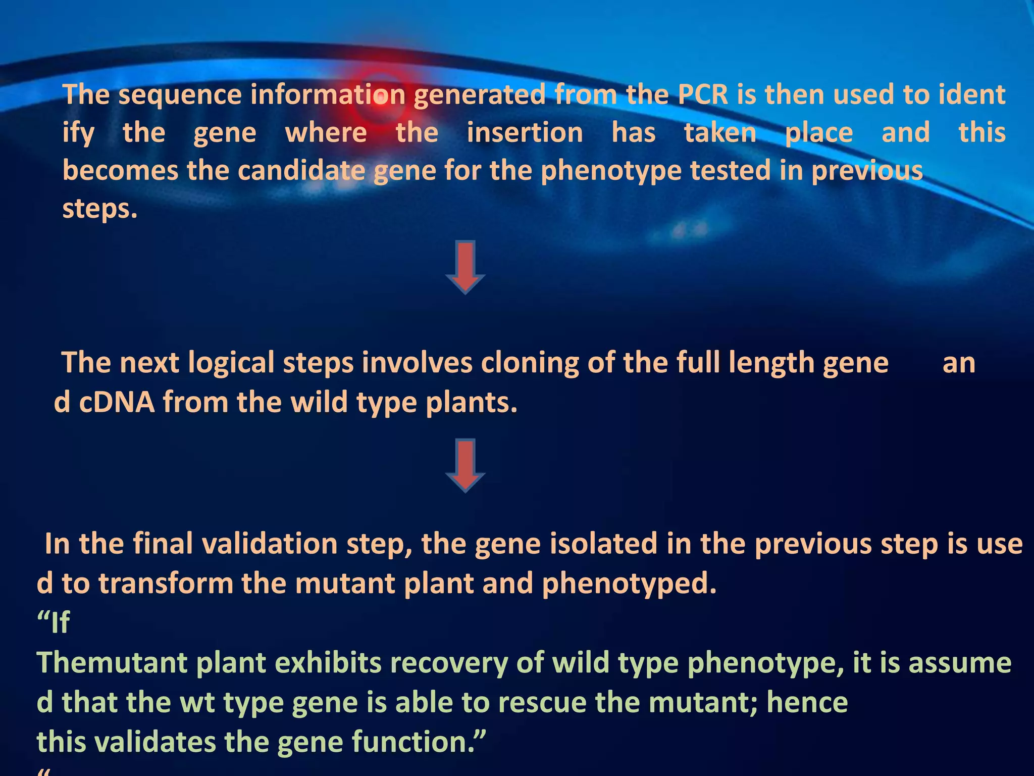 Forward and reverse genetics | PPTX