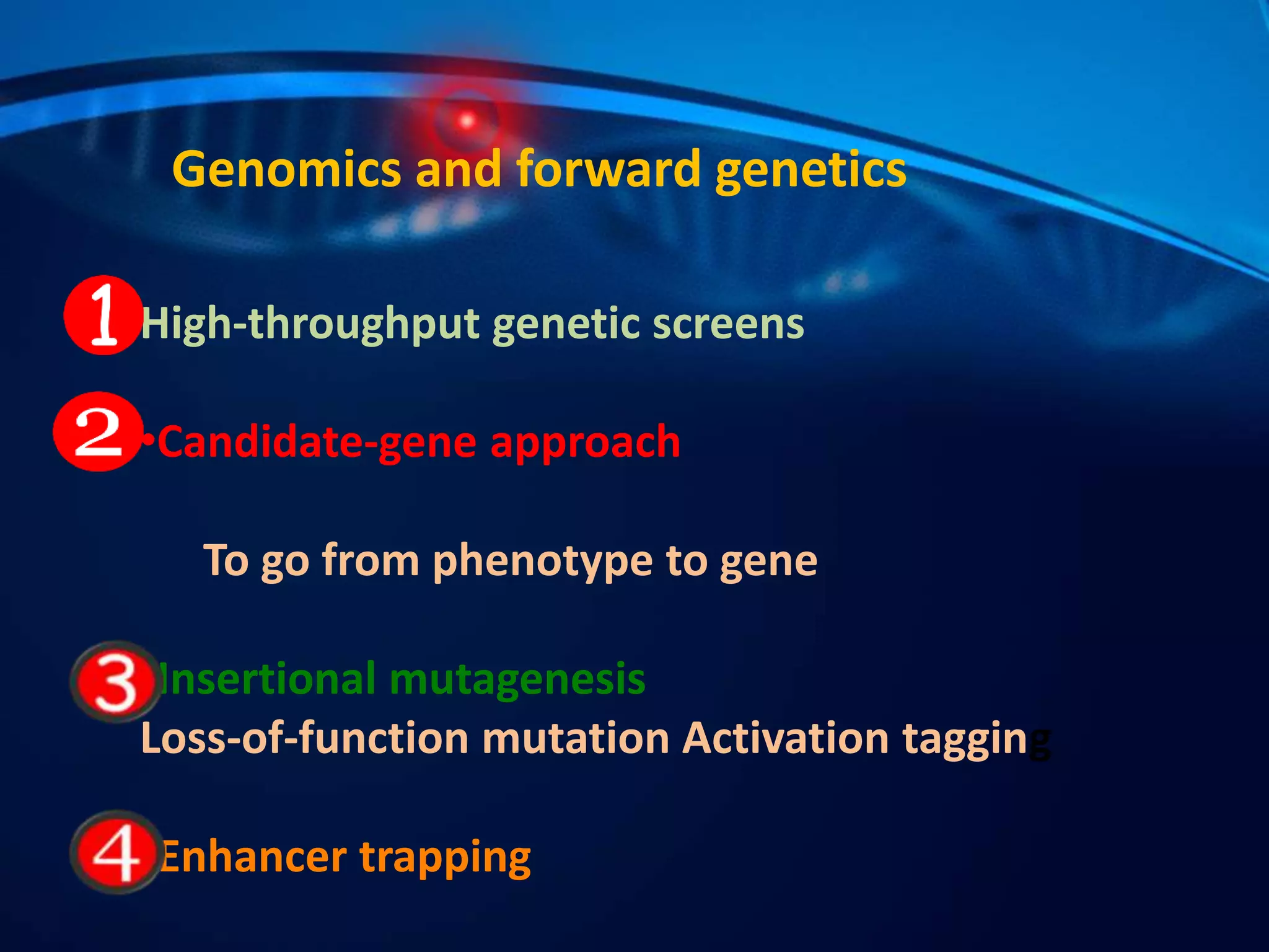 Forward and reverse genetics | PPTX