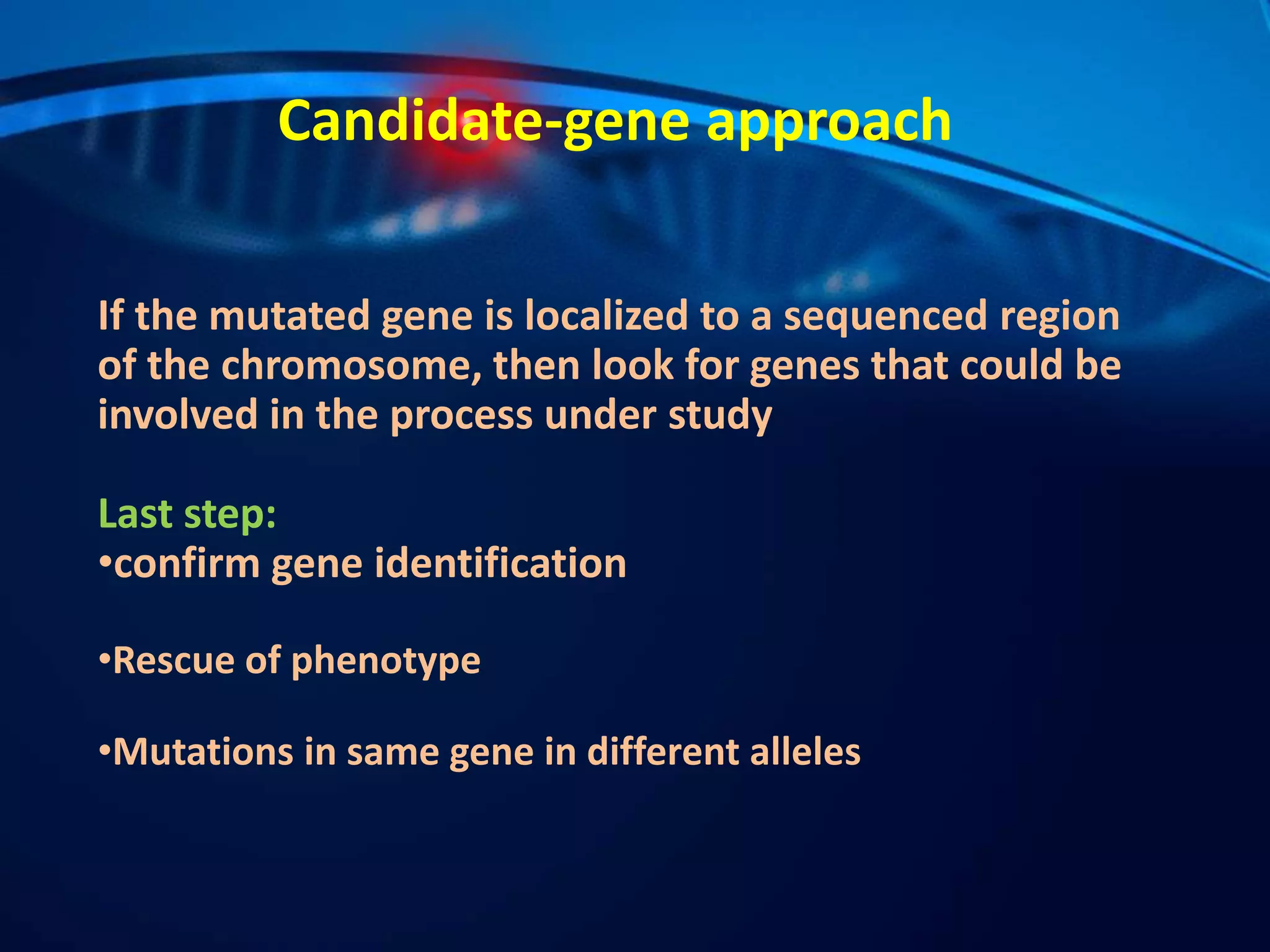 Forward and reverse genetics | PPTX