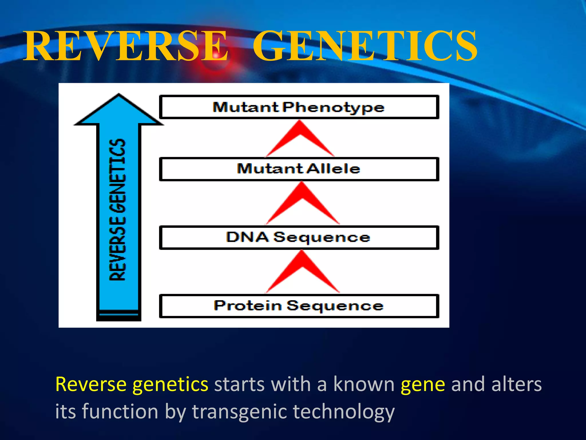 Forward and reverse genetics | PPTX