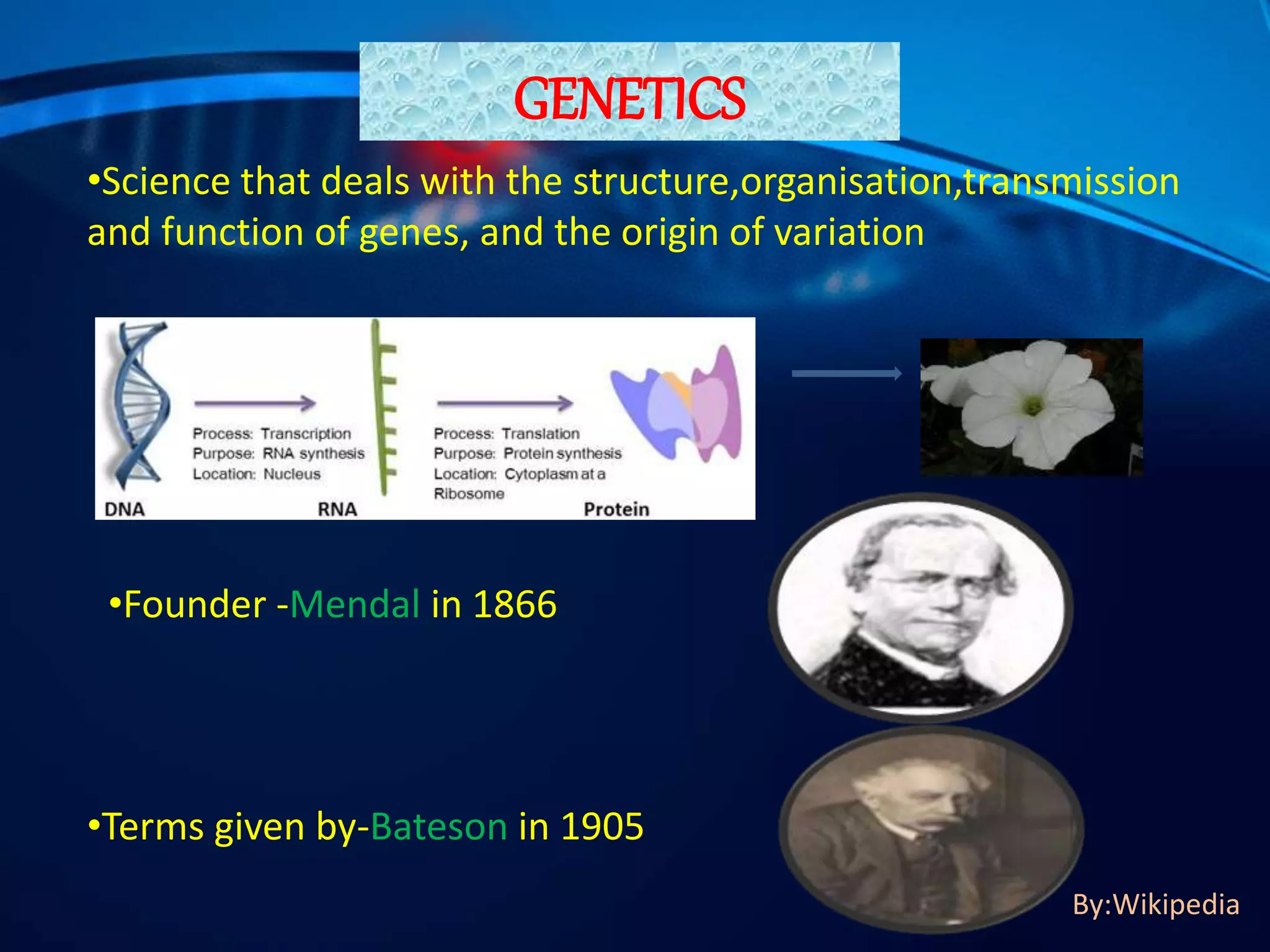 Forward and reverse genetics | PPTX