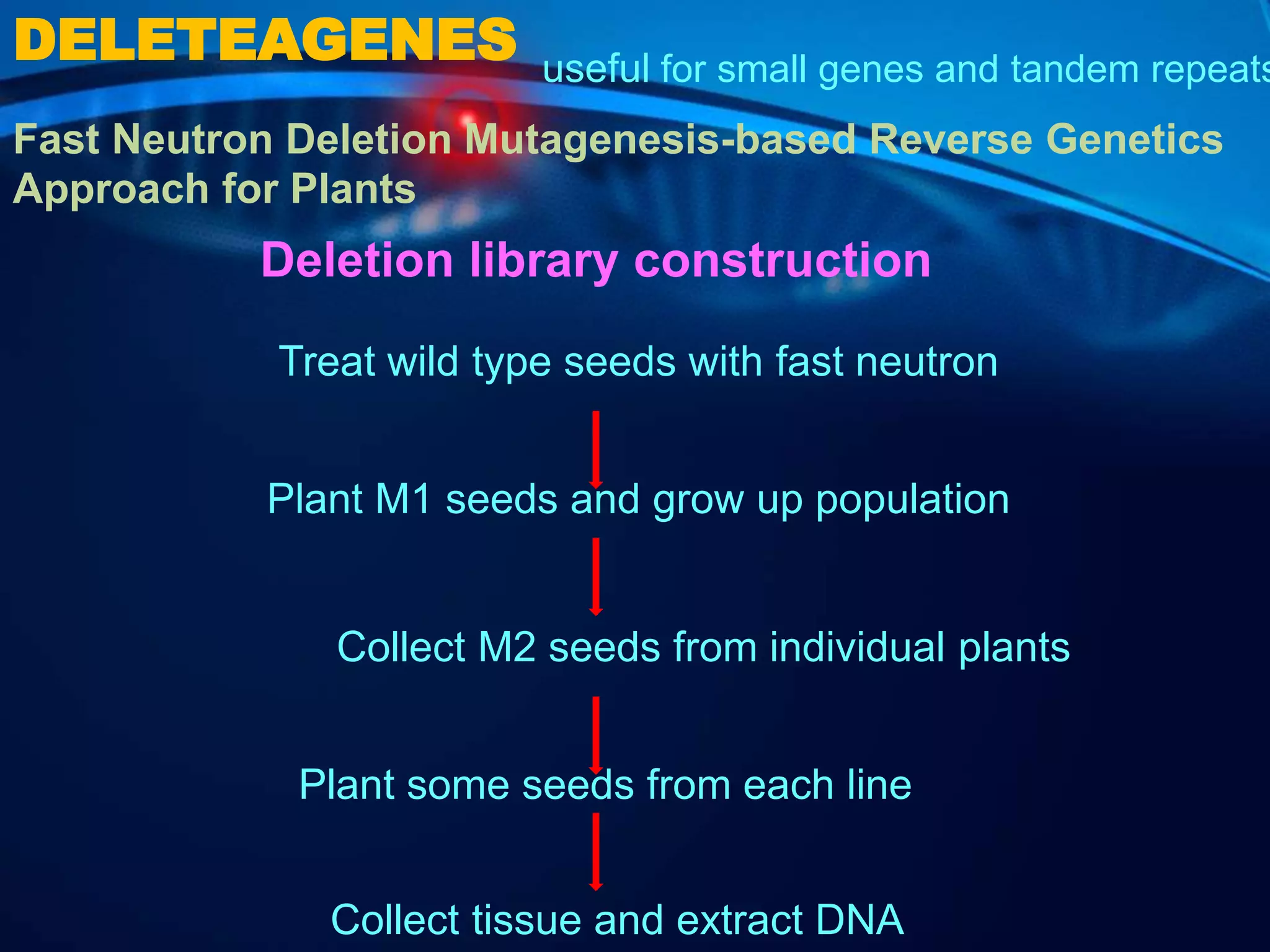 Forward and reverse genetics | PPTX