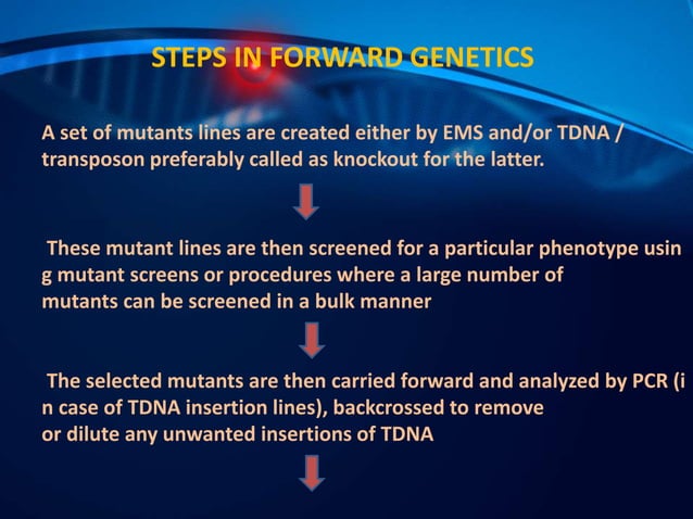Forward and reverse genetics | PPTX | Genetics | Science