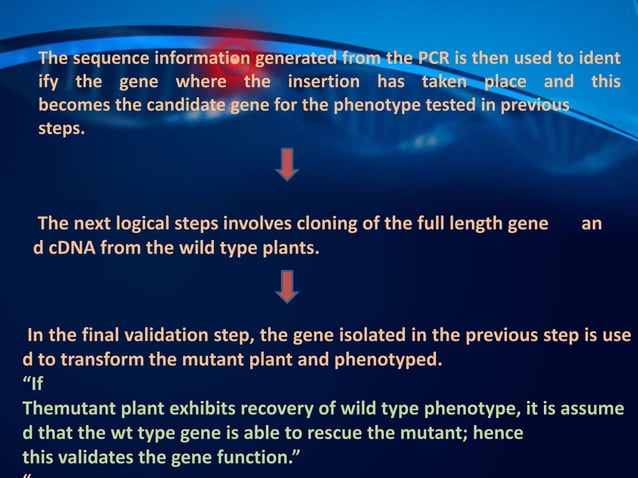 Forward and reverse genetics | PPTX | Genetics | Science