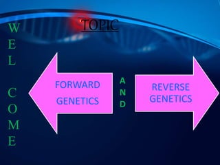 Forward and reverse genetics | PPTX
