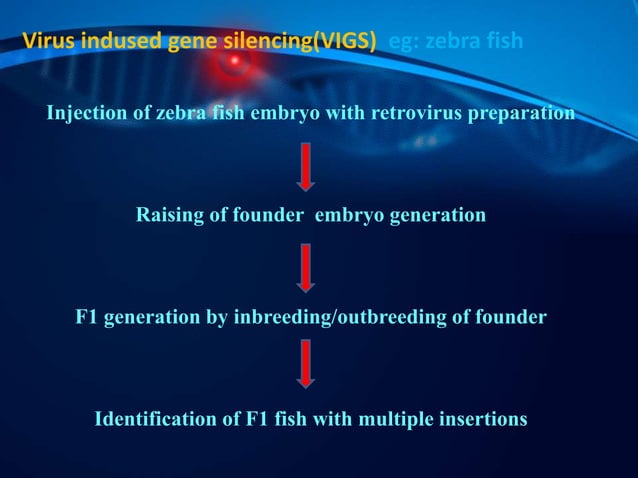 Forward and reverse genetics | PPTX | Genetics | Science