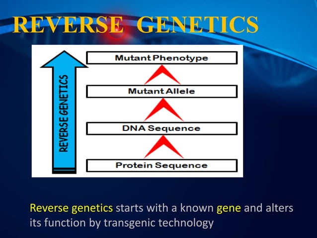 Forward and reverse genetics | PPT