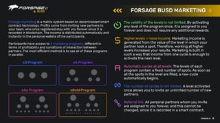 FORSAGE BUSD Presentation (PDF) | PDF