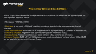 FORSAGE BUSD Presentation(PPT).pptx